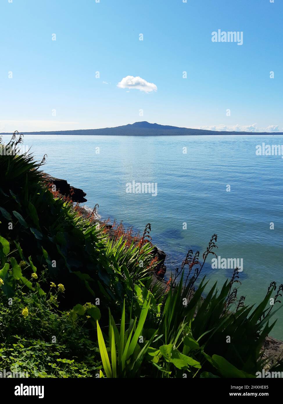Beautiful Tropical View, Rangitoto, New Zealand Stock Photo - Alamy