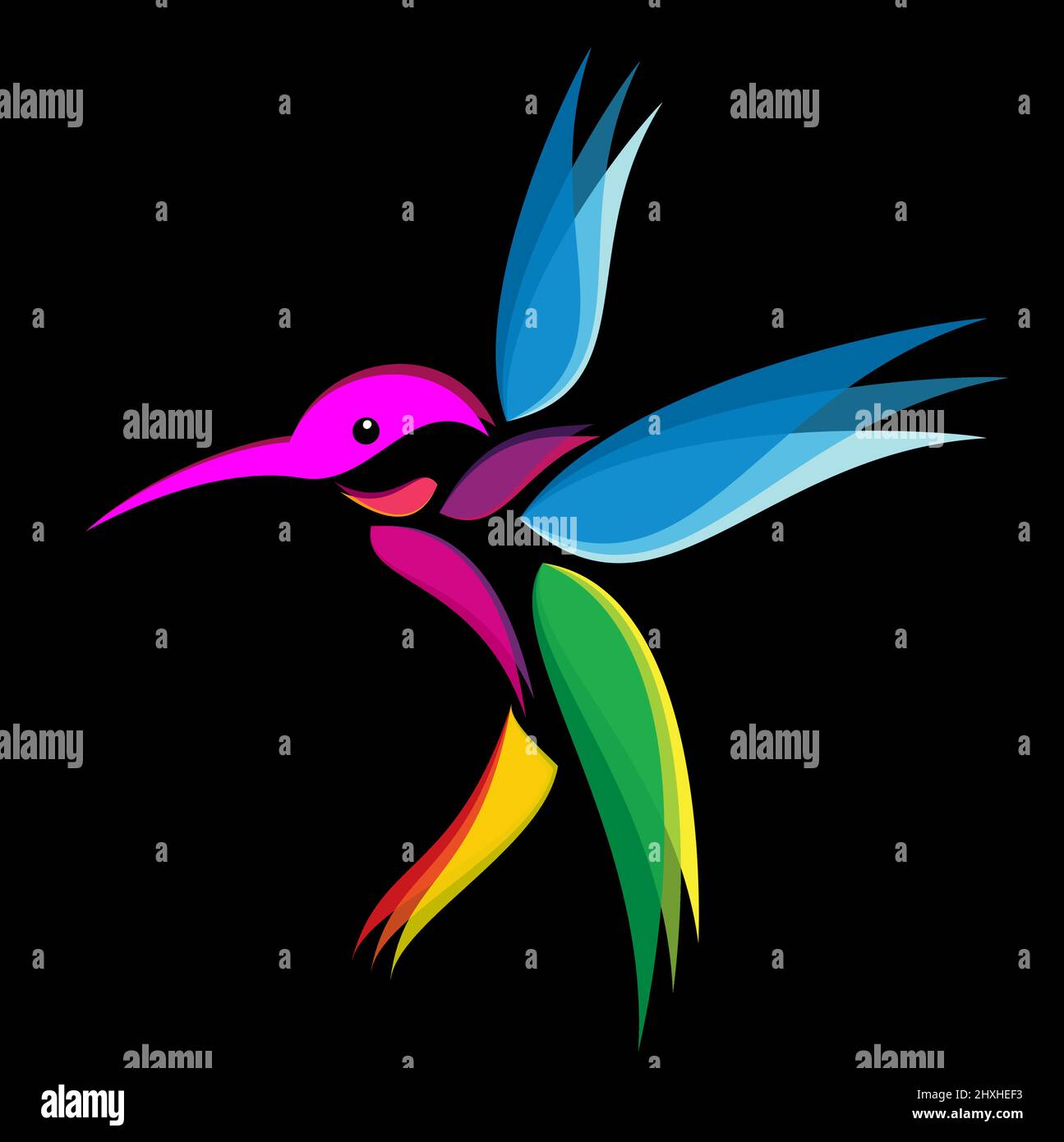 Hummingbird vibrant colors on a black background. Easy editable layered ...