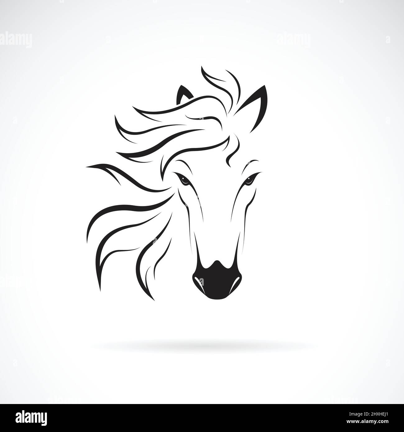 Horse Head Vector Images