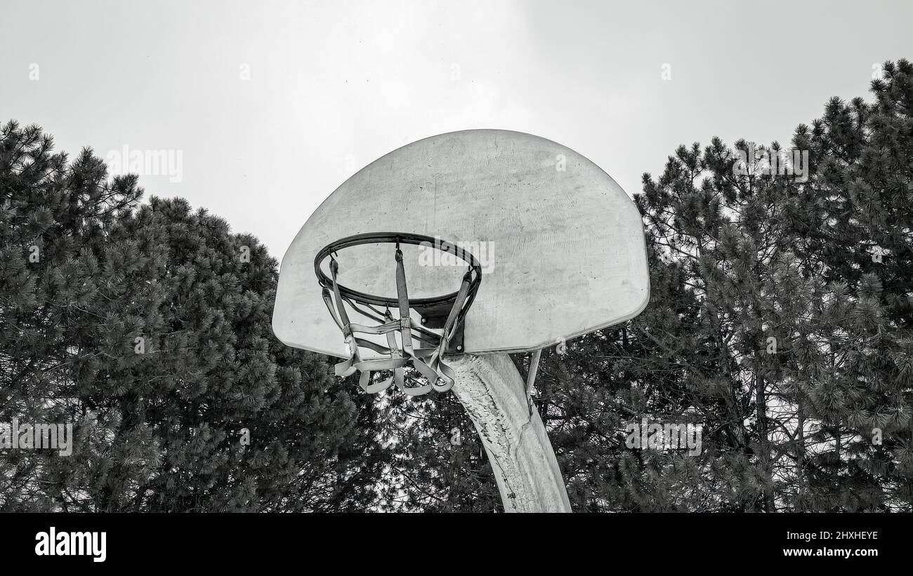 Old basketball hoop in the city with pine trees behind it in the center ...