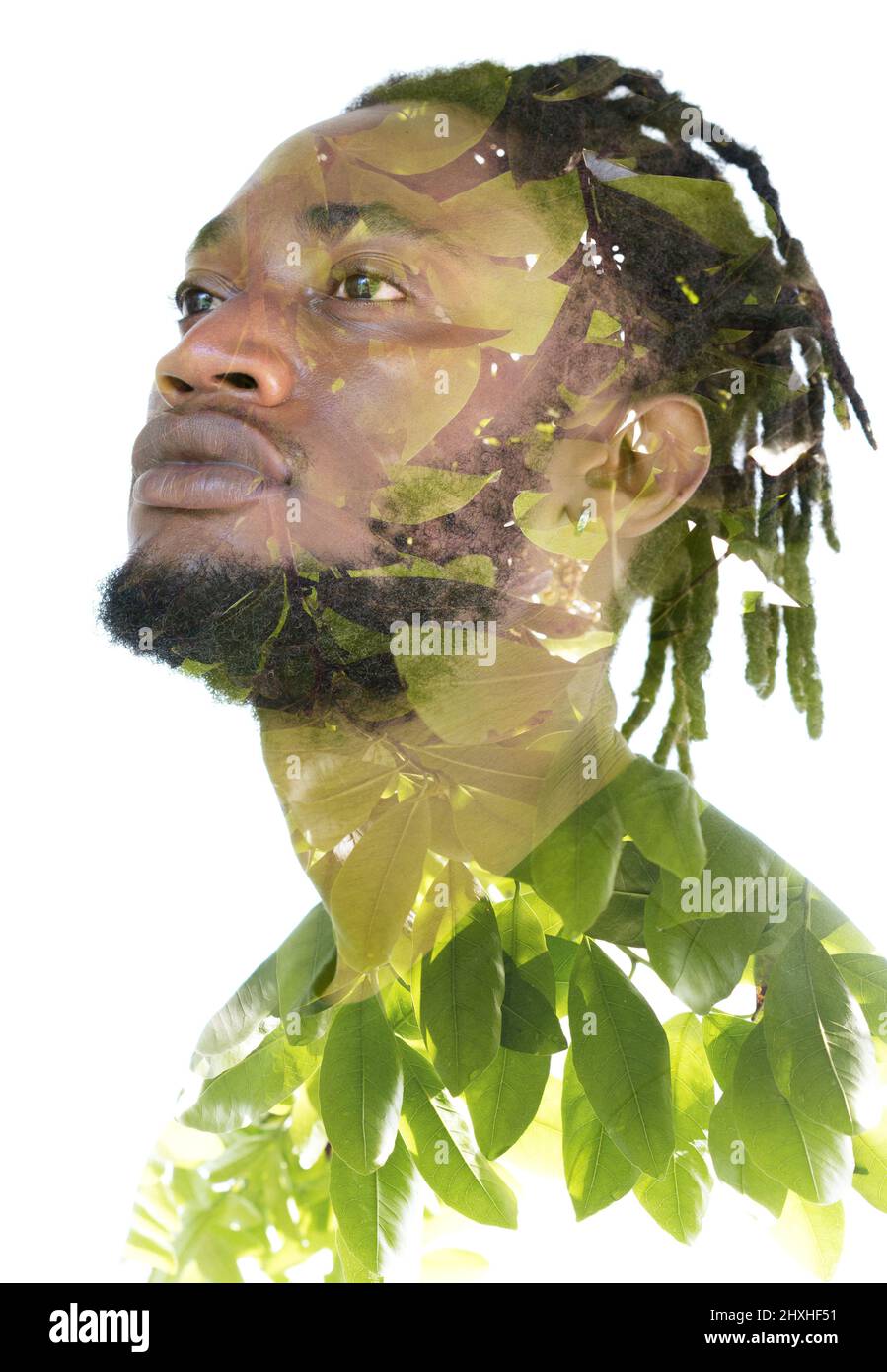 A portrait of a man dissolving into an image of foliage. Double ...