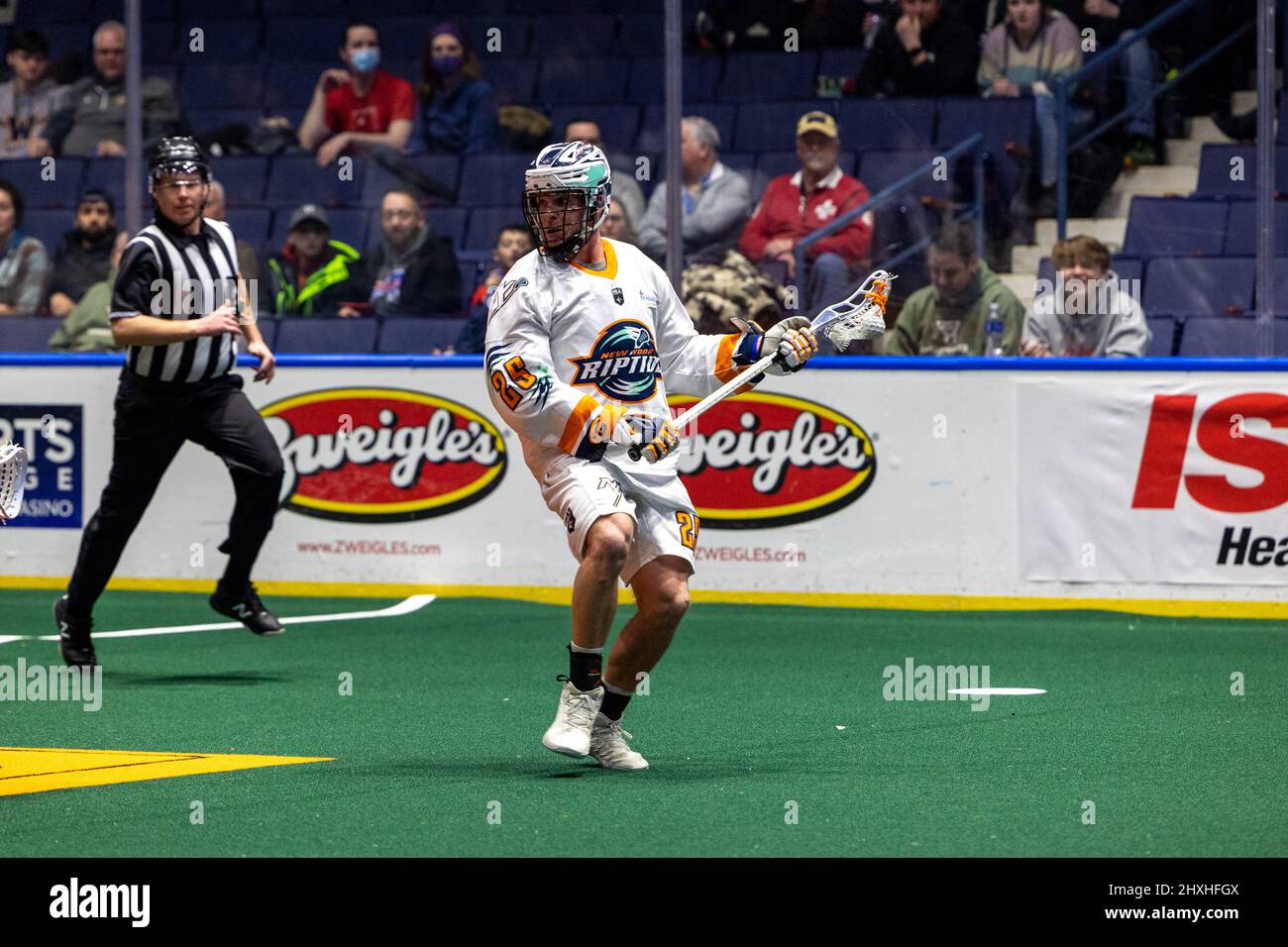 Dominey hi-res stock photography and images - Alamy