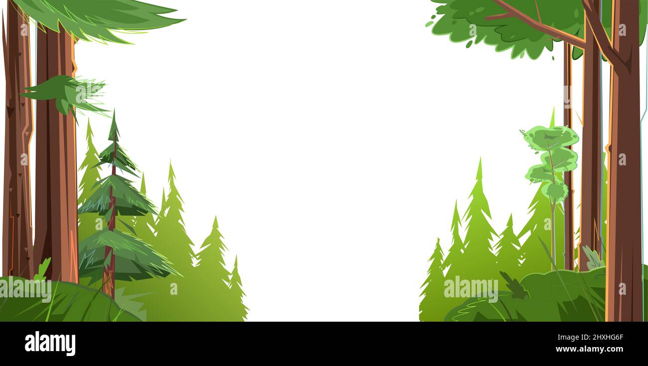 Path through a pine forest. Frame. Beautiful coniferous trees. Summer ...