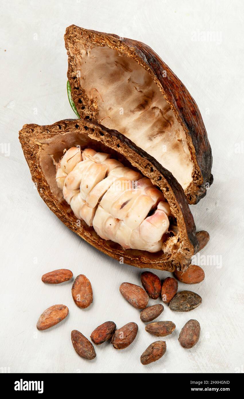 Fresh cocoa pod cut exposing cocoa seeds on white background, top view ...