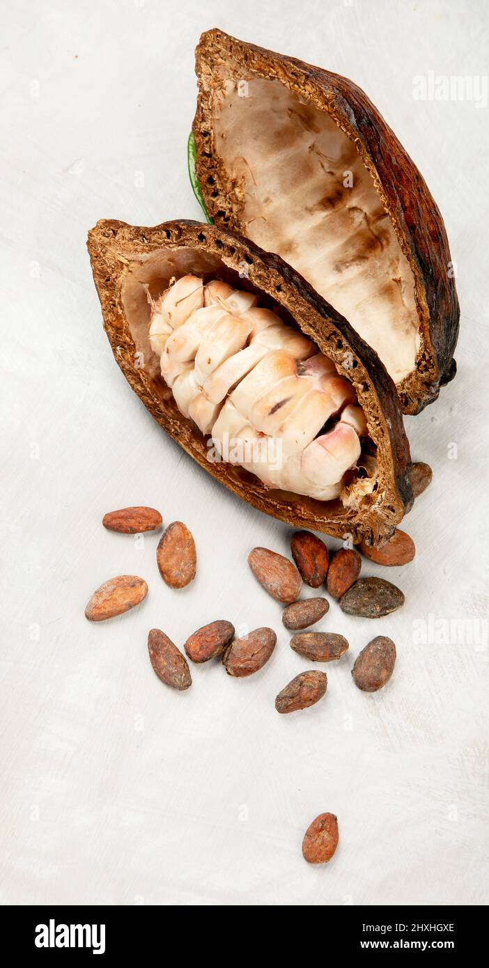 Fresh cocoa pod cut exposing cocoa seeds on white background, top view ...