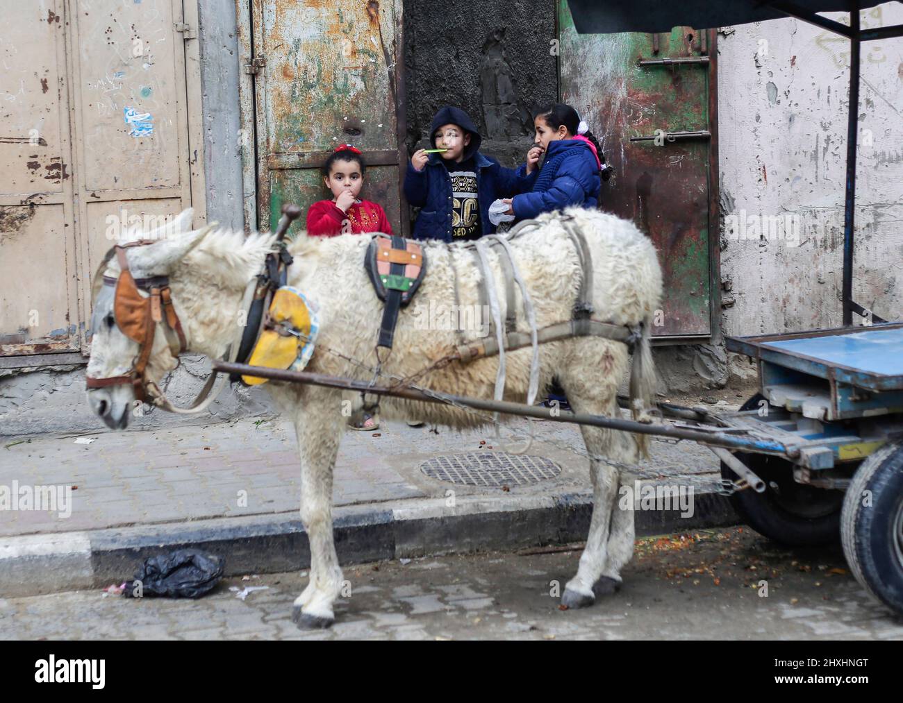 Palestinian children playing in front of their house in the northern ...