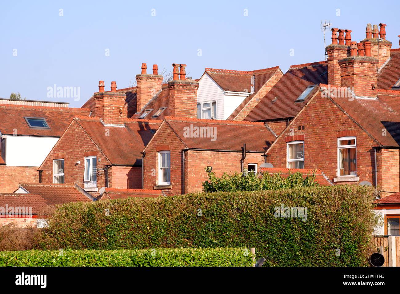 Rear view of houses in Nottingham, UK Stock Photo - Alamy