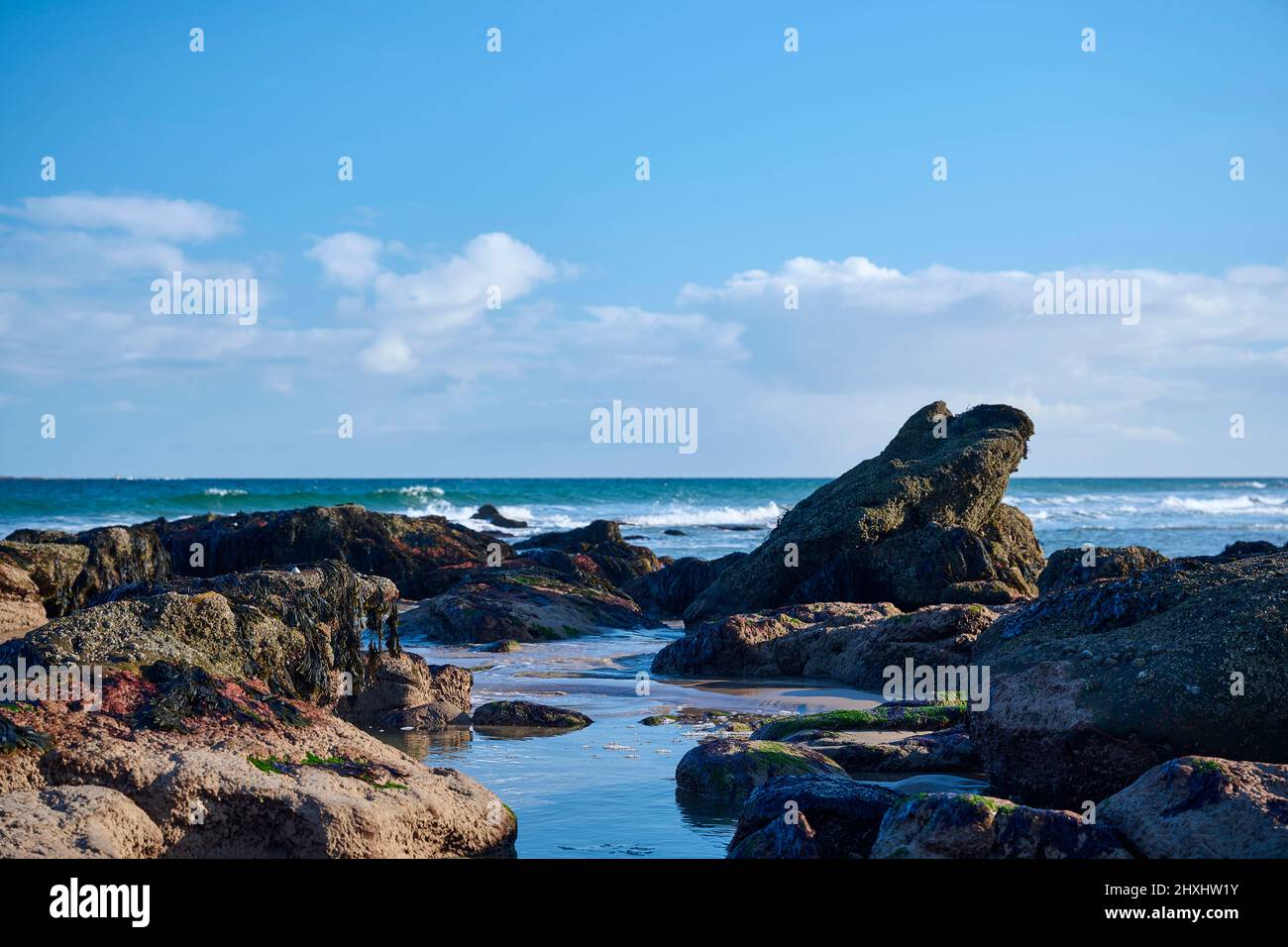 Rockpools at Covesea Beach Stock Photo - Alamy
