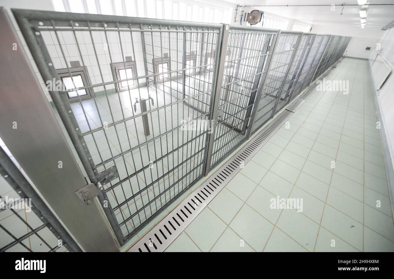 Animal kennels empty hi-res stock photography and images - Alamy