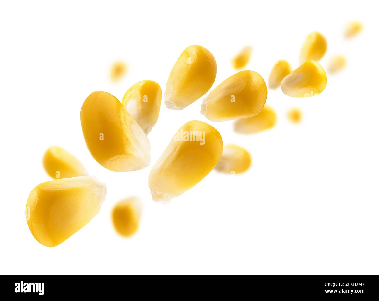 Ripe corn grains levitate on a white background Stock Photo - Alamy