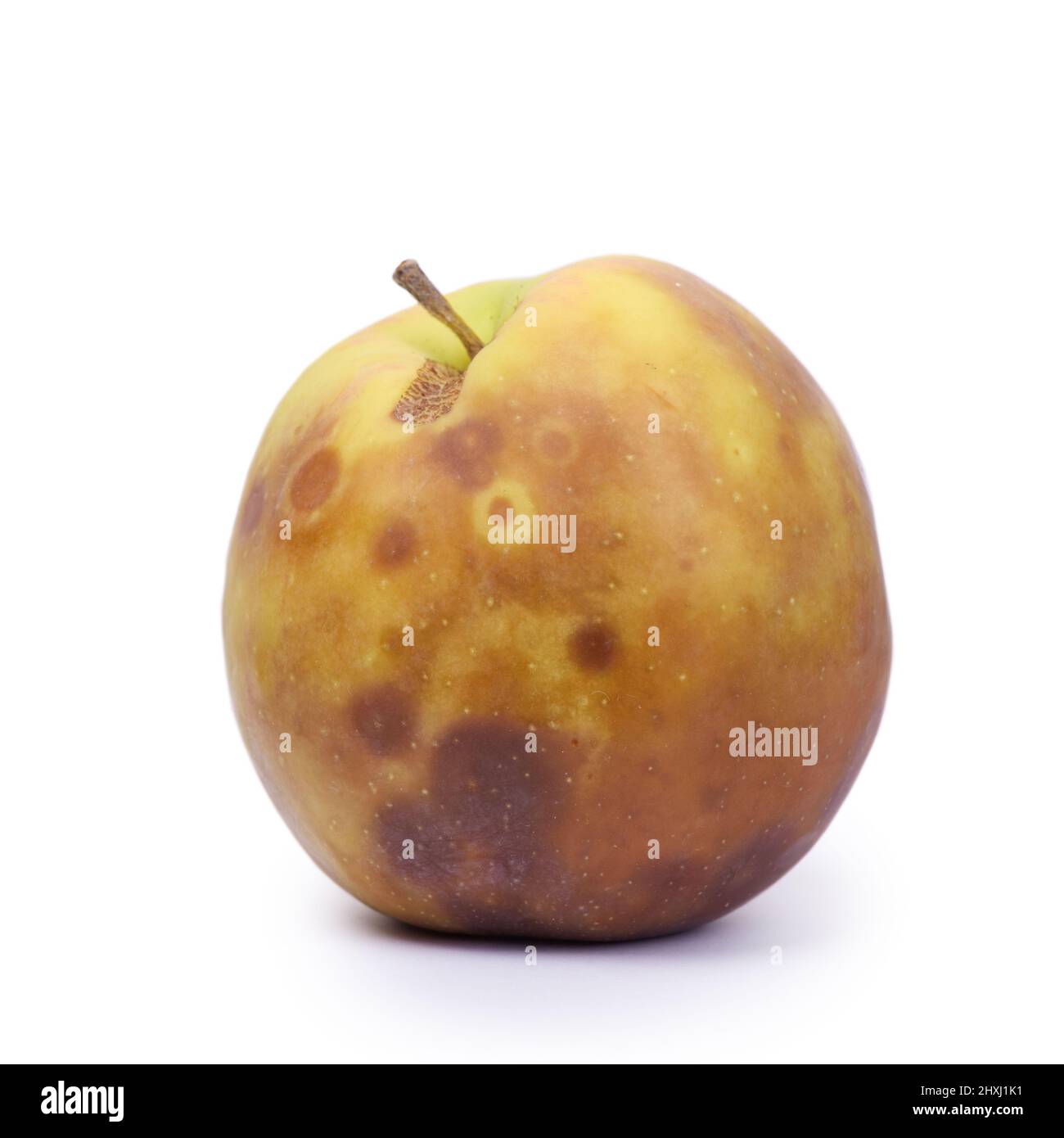 Yellow rotten apple isolated on white background Stock Photo - Alamy