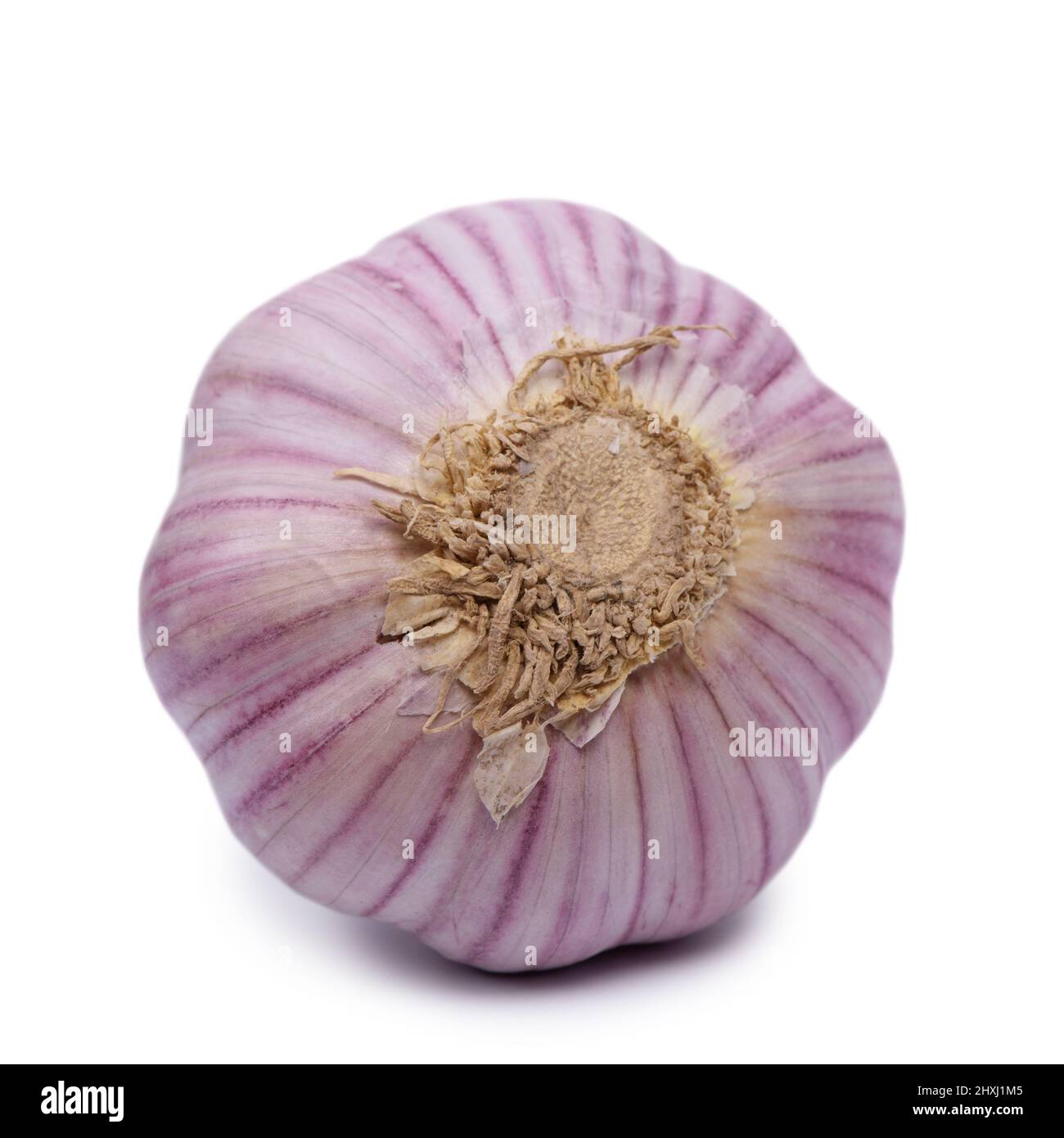Fresh garlic bulb isolated on white background Stock Photo - Alamy