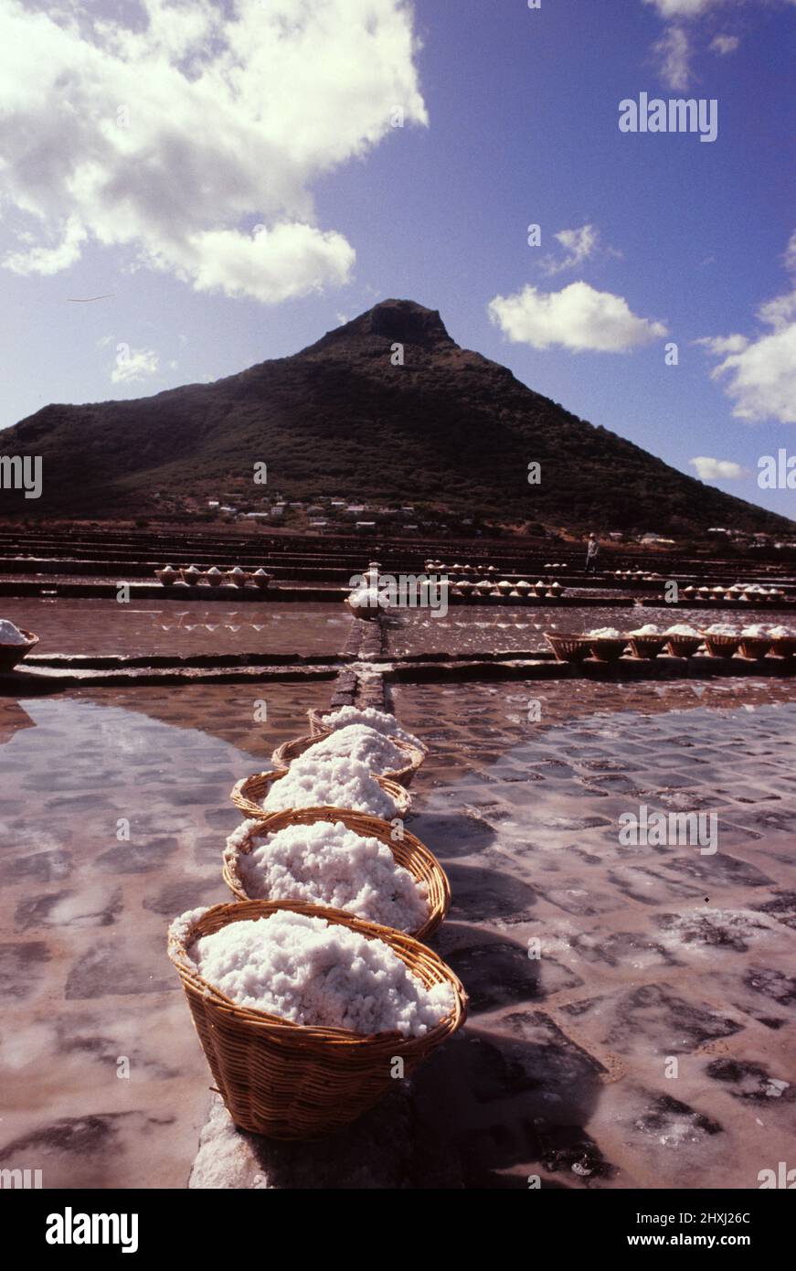 MAURITIUS ISLAND SALT MARSH BLACK RIVER Stock Photo - Alamy