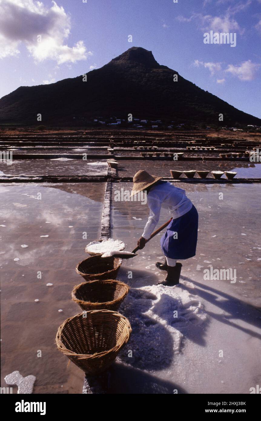 MAURITIUS ISLAND SALT MARSH BLACK RIVER Stock Photo - Alamy