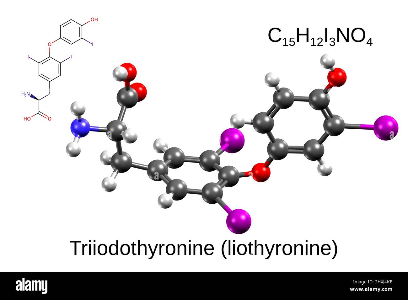 Chemical formula, skeletal formula and 3D ball-and-stick model of human ...