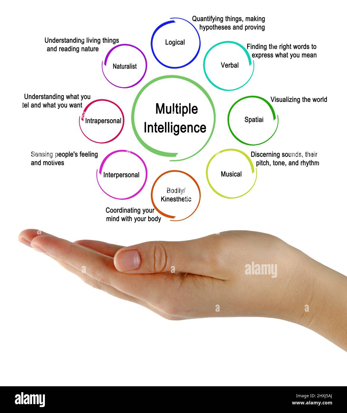 Eight Types of Multiple Intelligence Stock Photo - Alamy