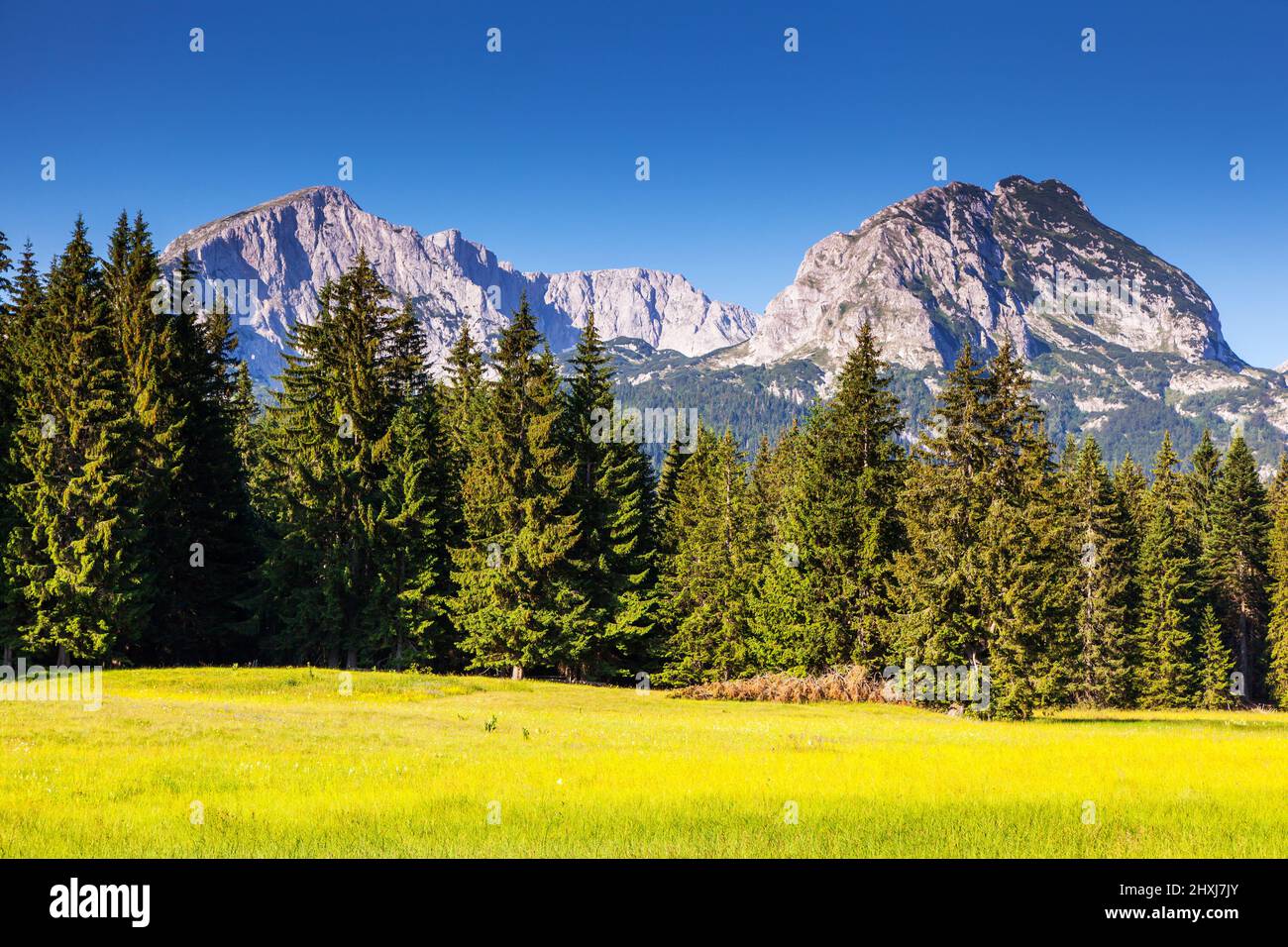 Wonderful view to mountains in the national park Durmitor in Montenegro ...