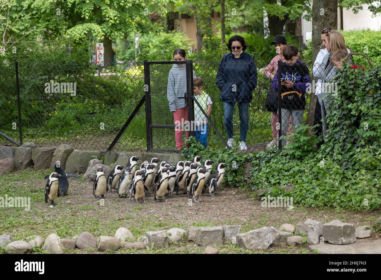 Warsaw, Poland - Circa May, 2021: The Municipal Zoological Garden in ...