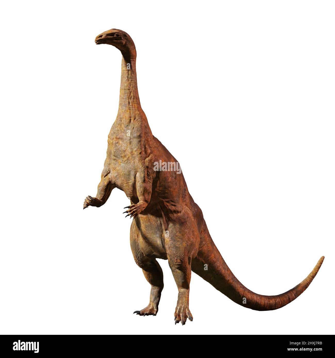 Plateosaurus, dinosaur that lived around 214 to 204 million years ago ...