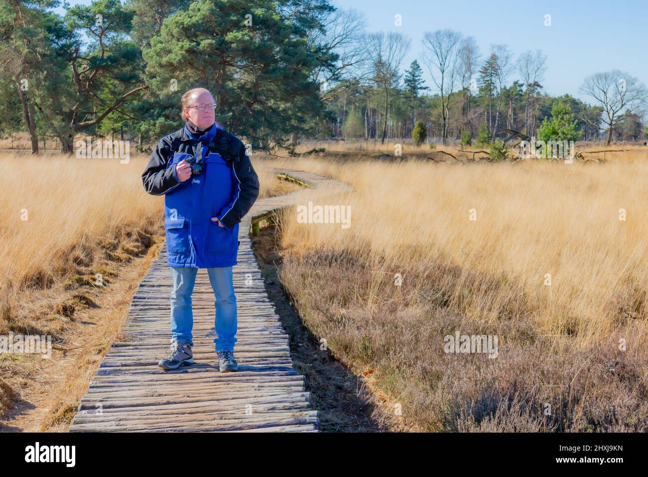 Mature male hiker on wooden path, camera in his hand, marshy ground ...