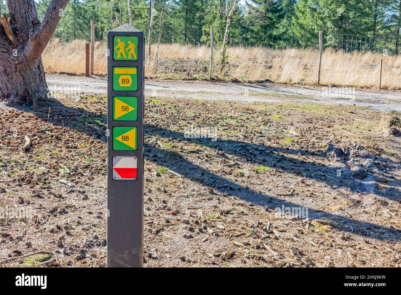 Signpost of different hiking trails in yellow, one with white and red ...