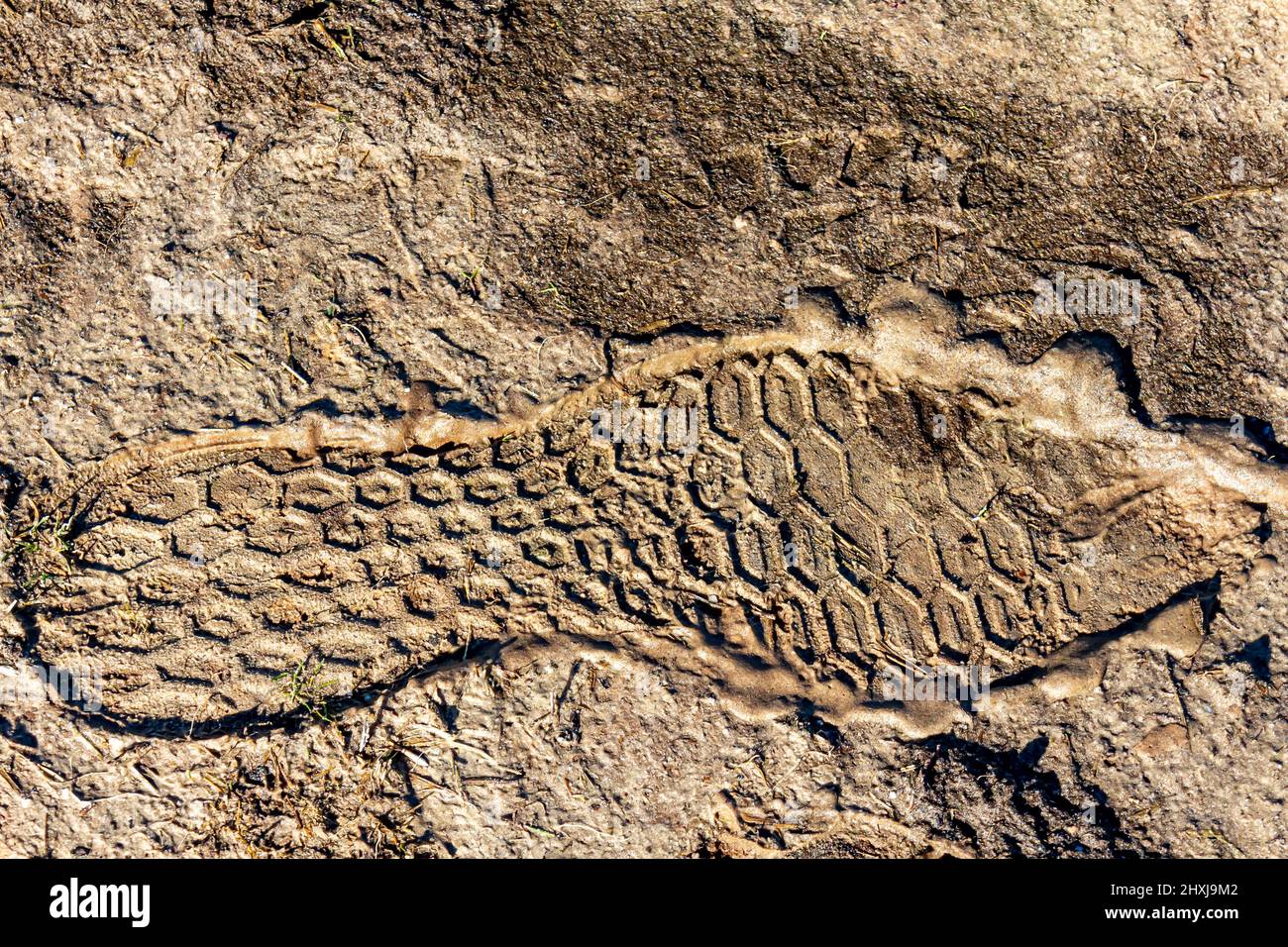 Imprint of the sole of a left foot sports shoe on a wet muddy ground ...