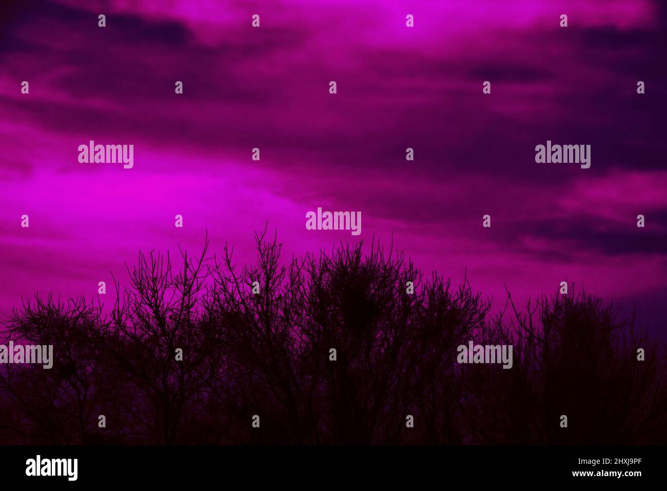 Autumn landscape in the park. Surrealistic art infrared photo Stock ...