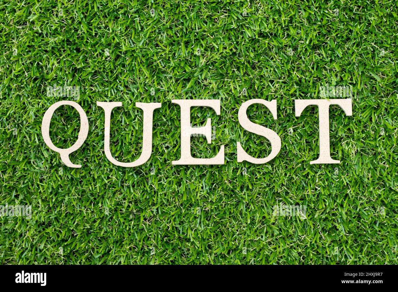 Wood alphabet letter in word quest on green grass background Stock Photo - Alamy