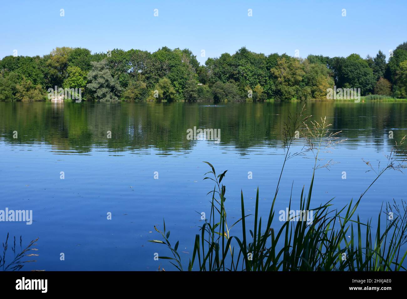 Neigh Bridge Country Park, Cotswold Water Park, Gloucestershire ...