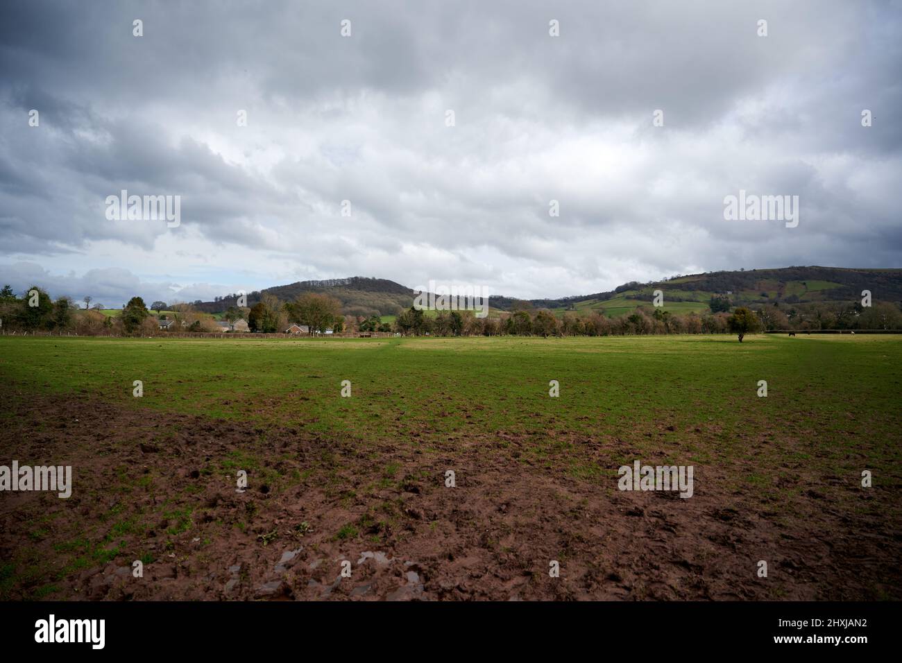 muddy field in countryside on cloudy day Stock Photo - Alamy