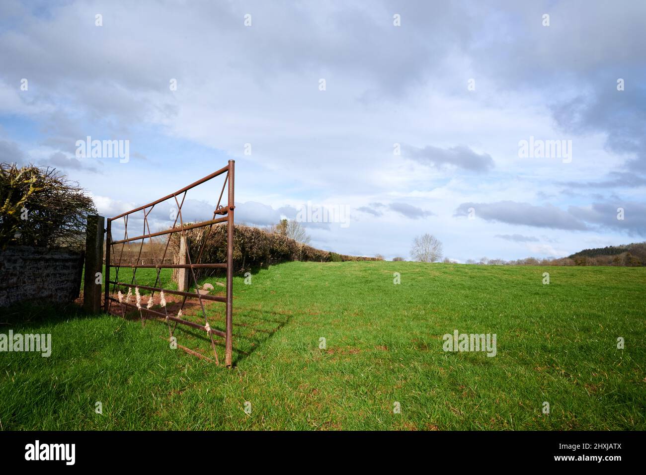 open metal gate in field in countryside with clouds against blue sky ...