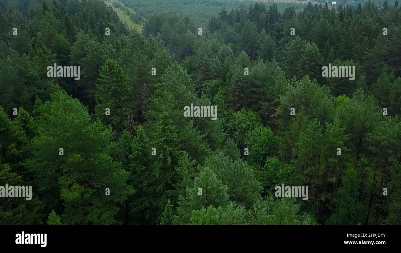 Aerial fpv flight above beautiful hi-res stock photography and images ...