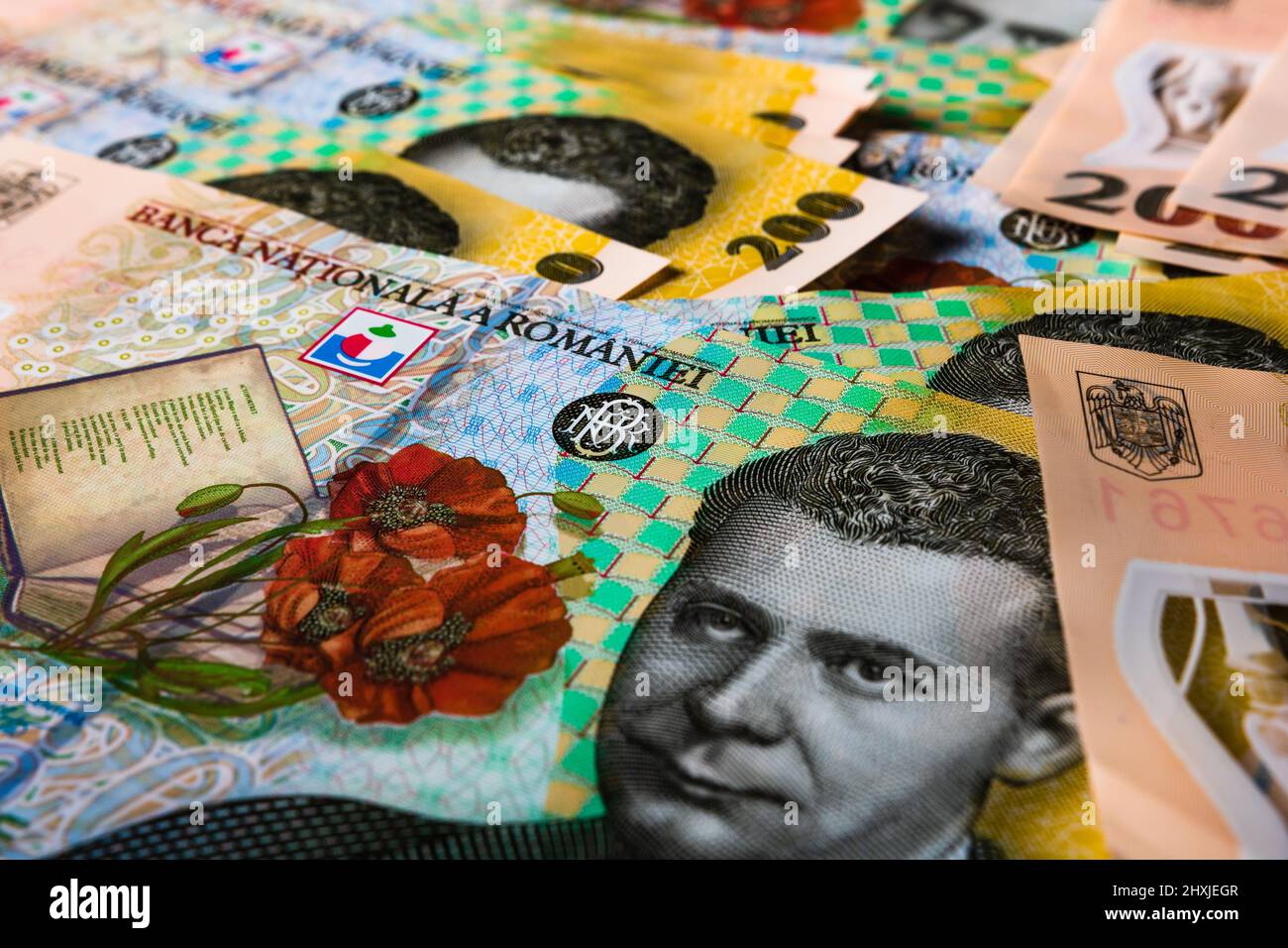 Stack of LEI Romanian money. RON Leu Money European Currency Stock ...