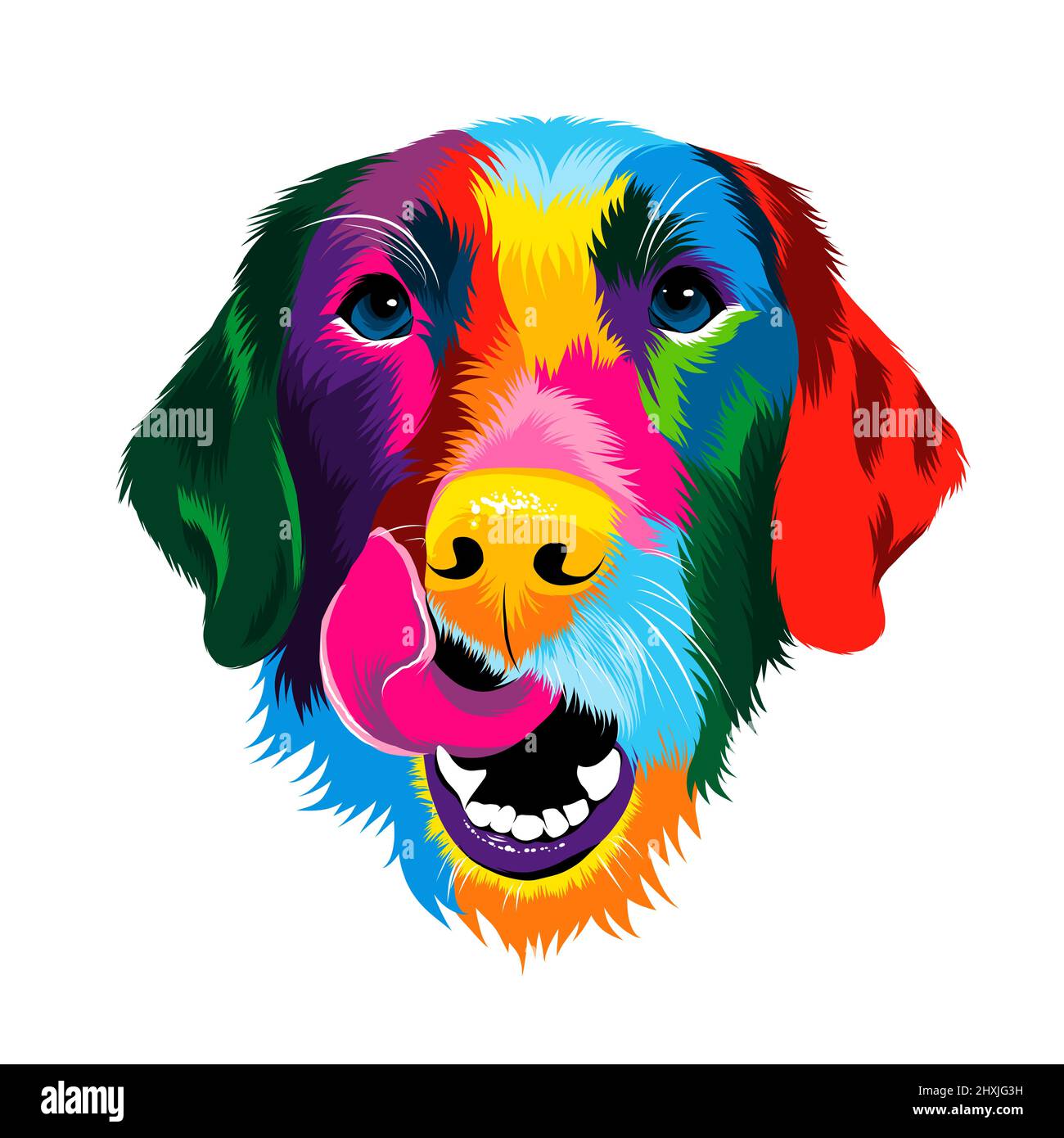Abstract portrait of the head of a Labrador retriever from multicolored ...