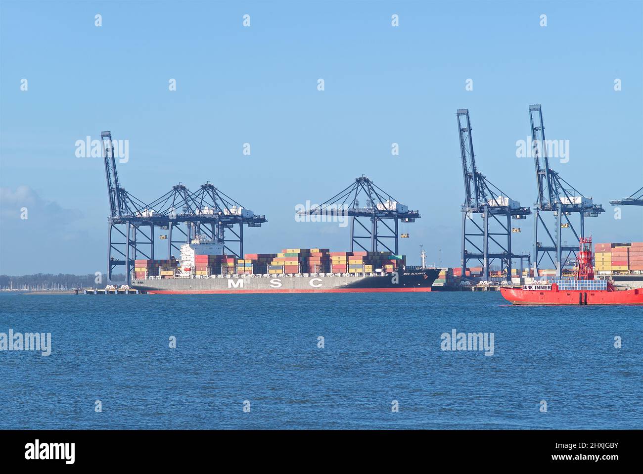 Container ship MSC Alicante docked at the Port of Felixstowe, Suffolk ...