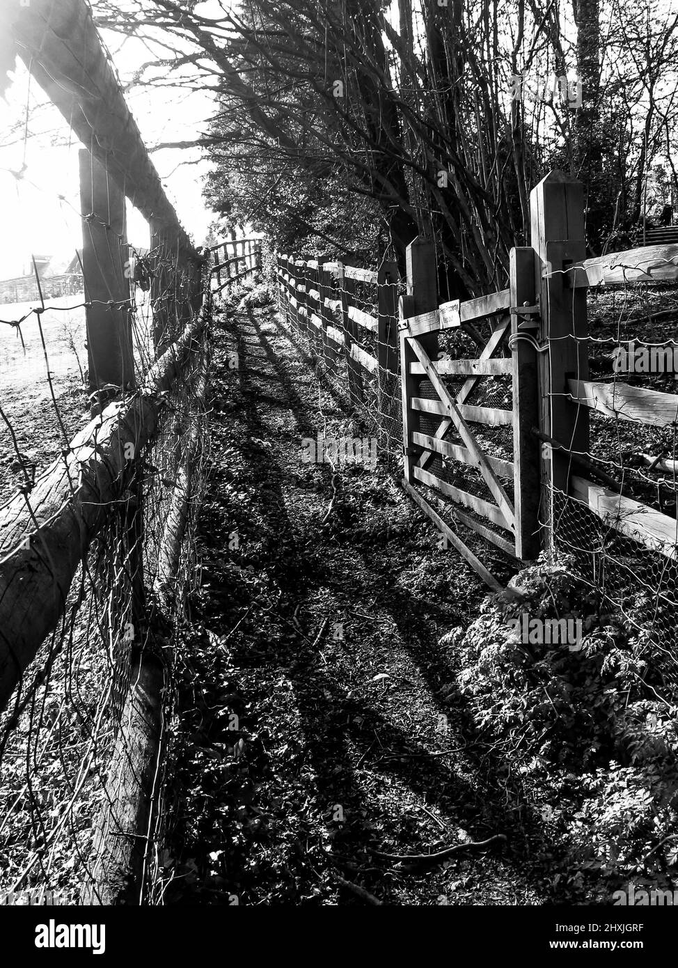A trail between two farm fences, in black and white in the Kentish ...