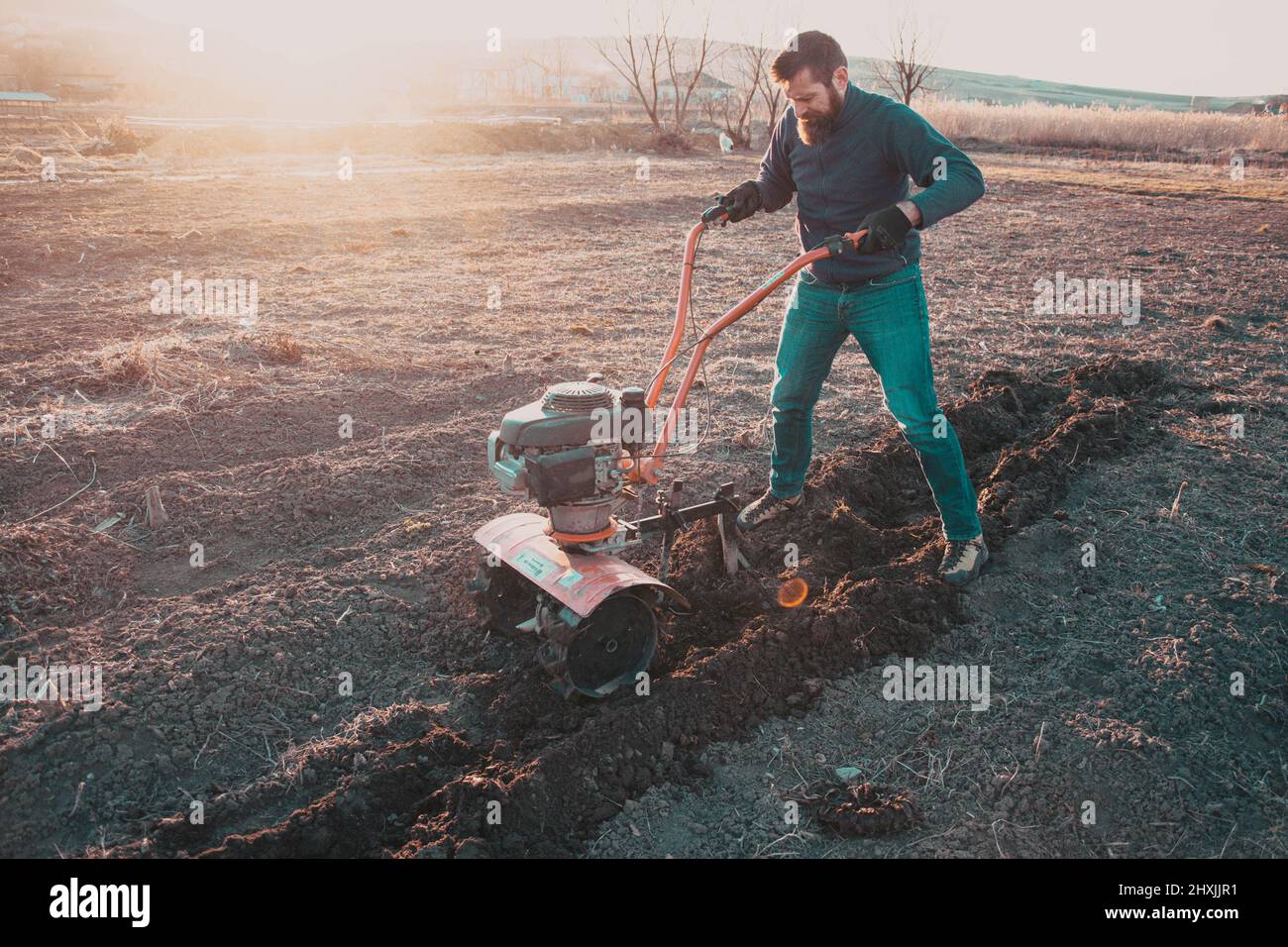 Farmer weeding the field with a tiller. Man loosens the soil cultivator ...