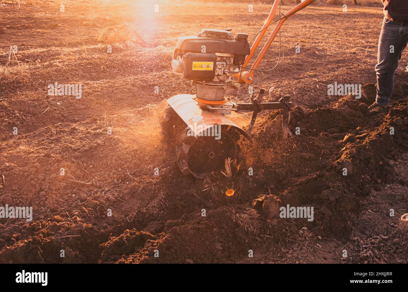 Farmer weeding the field with a tiller. Man loosens the soil cultivator ...