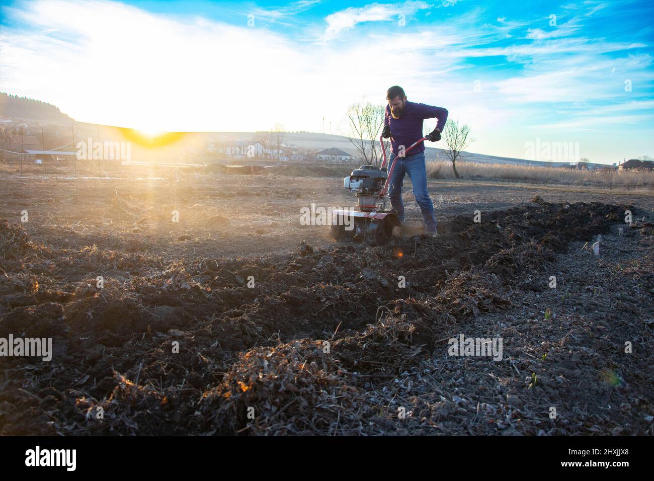 Farmer weeding the field with a tiller. Man loosens the soil cultivator ...