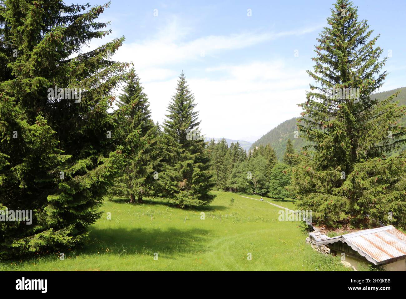Le champel hi-res stock photography and images - Alamy