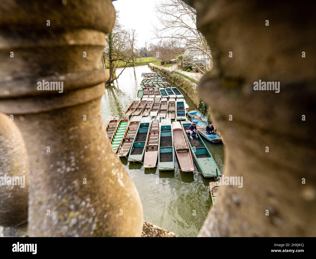 Oxford punting, a business in Oxford that offers the traditional ...