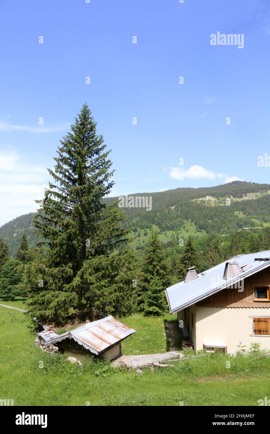 Paysage de toiture hi-res stock photography and images - Alamy