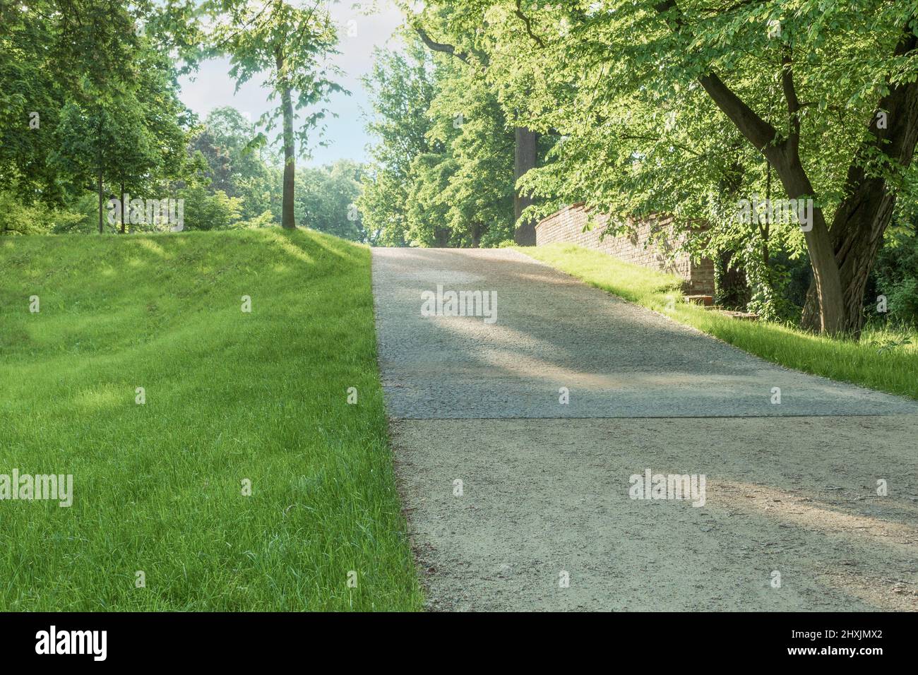 Beautiful and neat path in the city park, landscape. Alley and sidewalk ...
