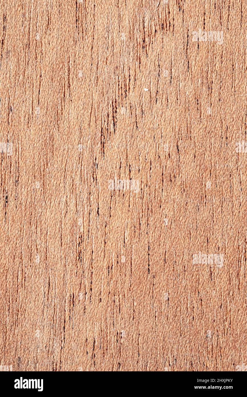 Macro Close up of wooden texture of Cedar wood cigar box surface Stock ...