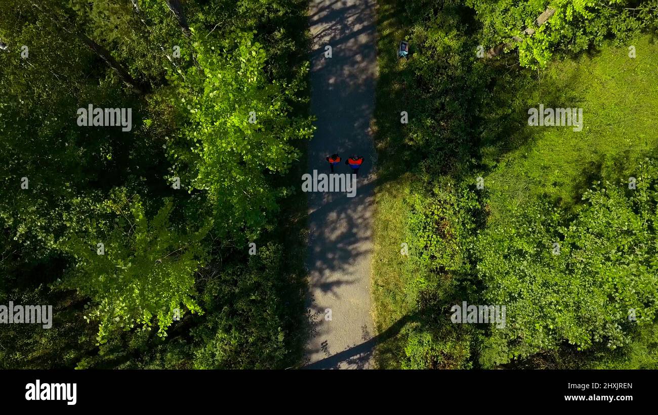 Bird's-eye view. Clip. Workers walk through the green forest in a ...