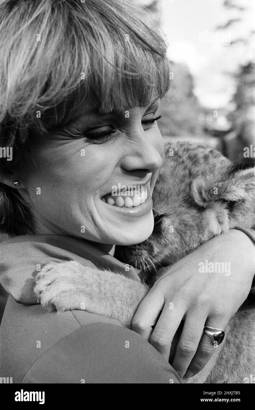 Stars of the new TV series "The Avengers", Joanna Lumley with Sheba the ...