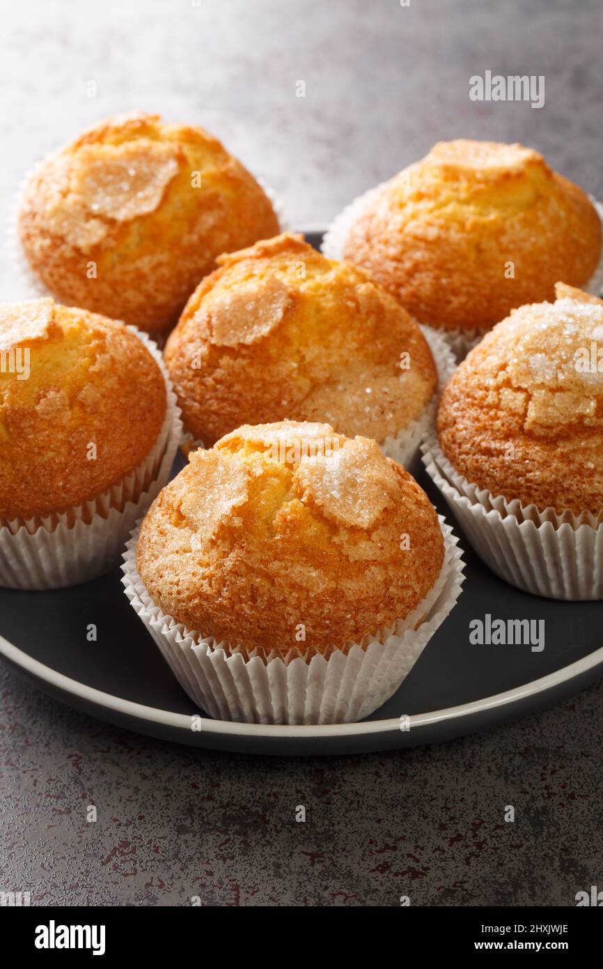 Spanish Cupcakes Magdalenas