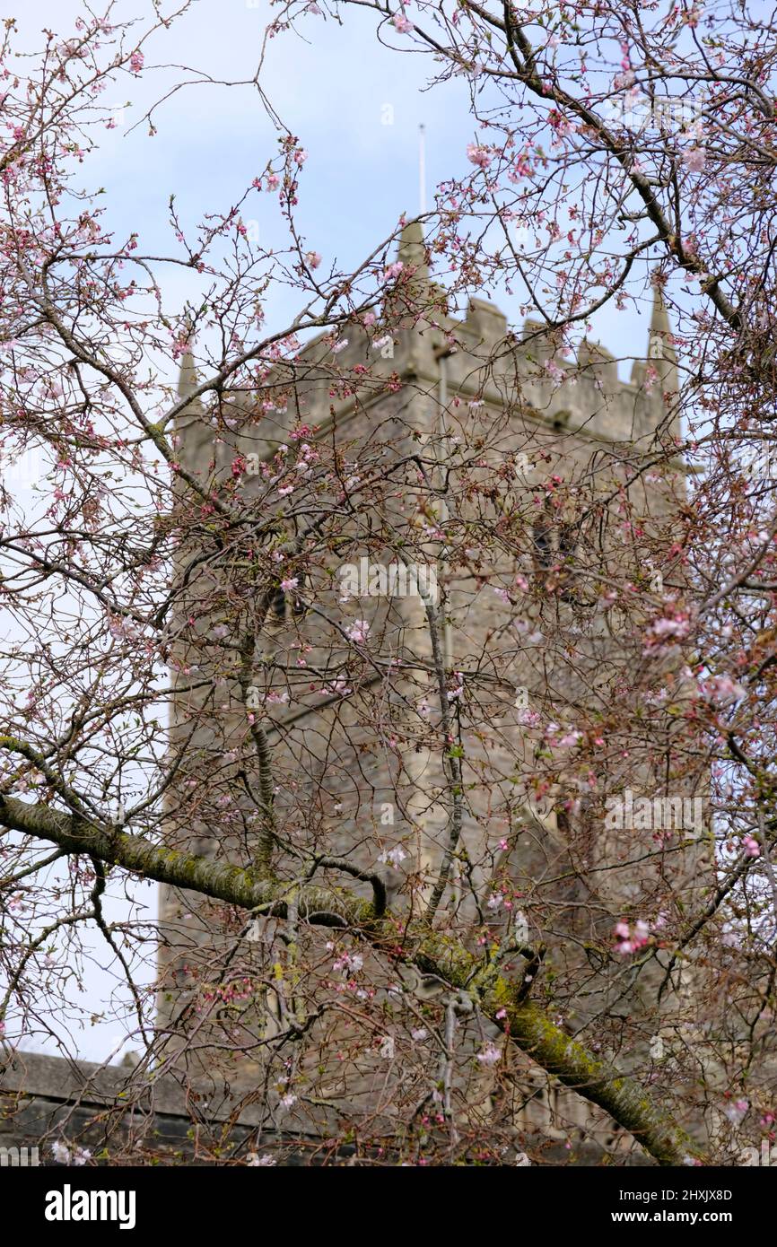 Bud castle hi-res stock photography and images - Alamy
