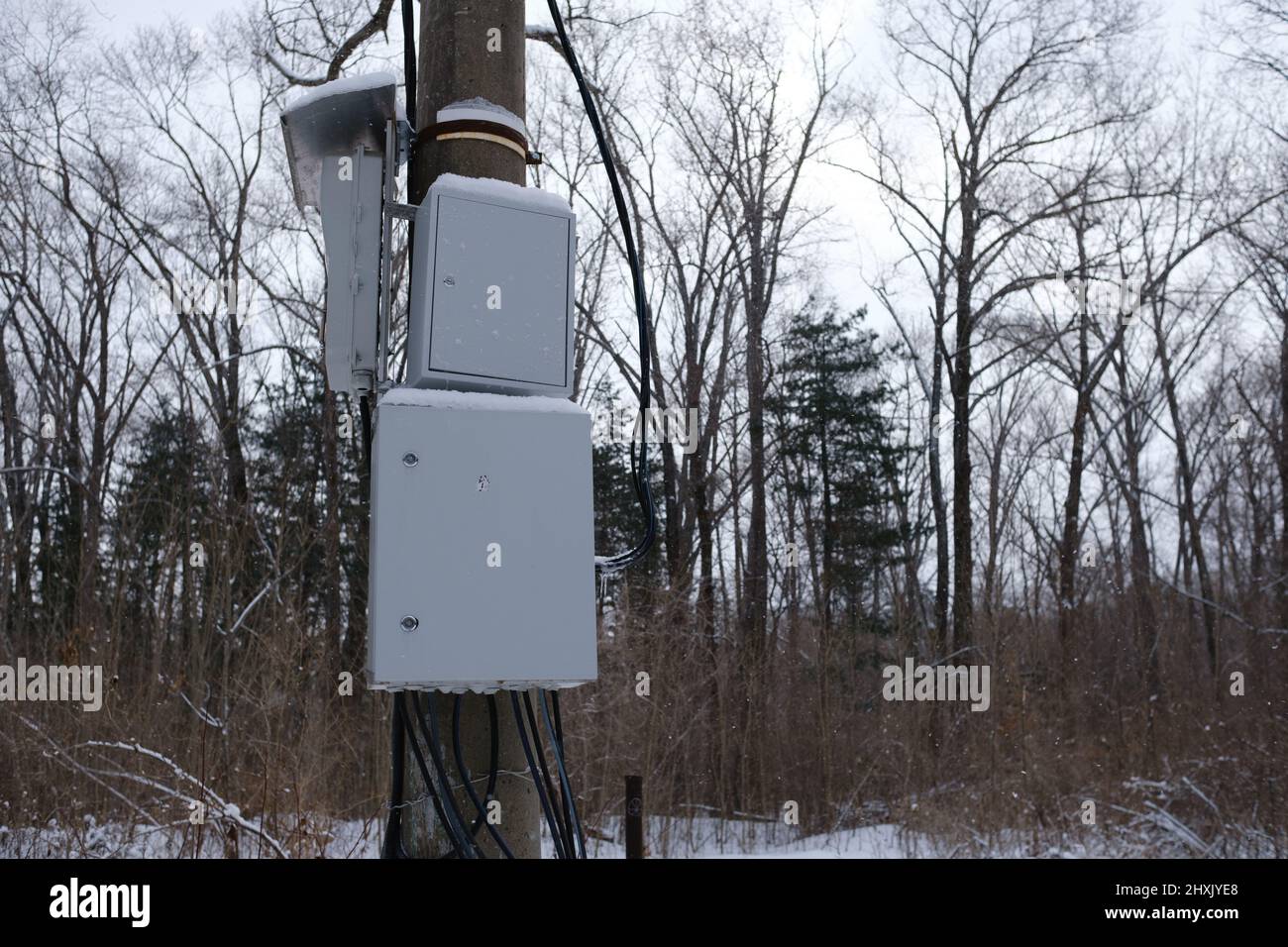 Electric boxes hang on a pole in the forest Stock Photo - Alamy