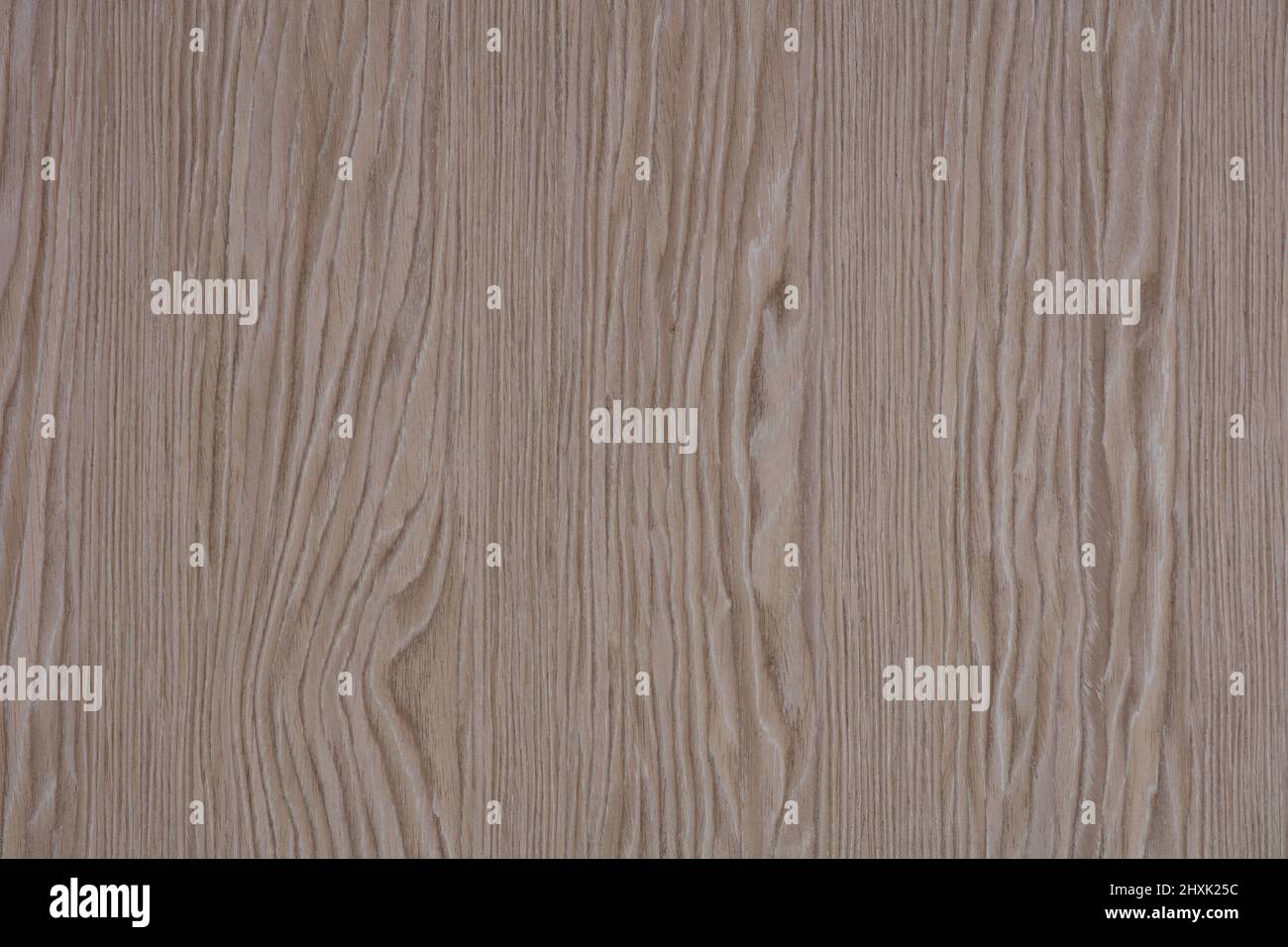 Breeze Oak veneer texture, background in beautiful grey color for your ...